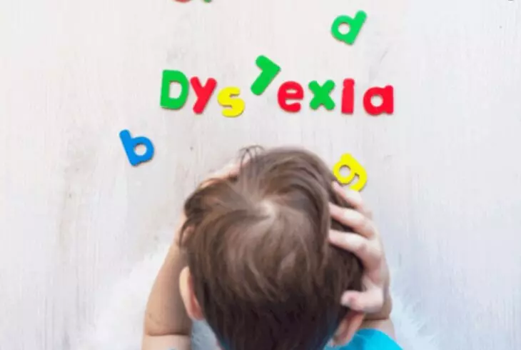 Co dělá školu pro dyslexii úspěšnou? 8898_6