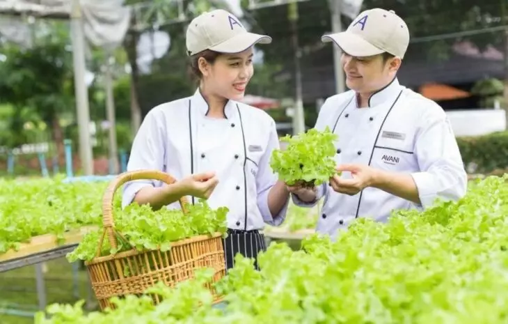 수경재배 성공을 위한 7가지 팁 9127_4