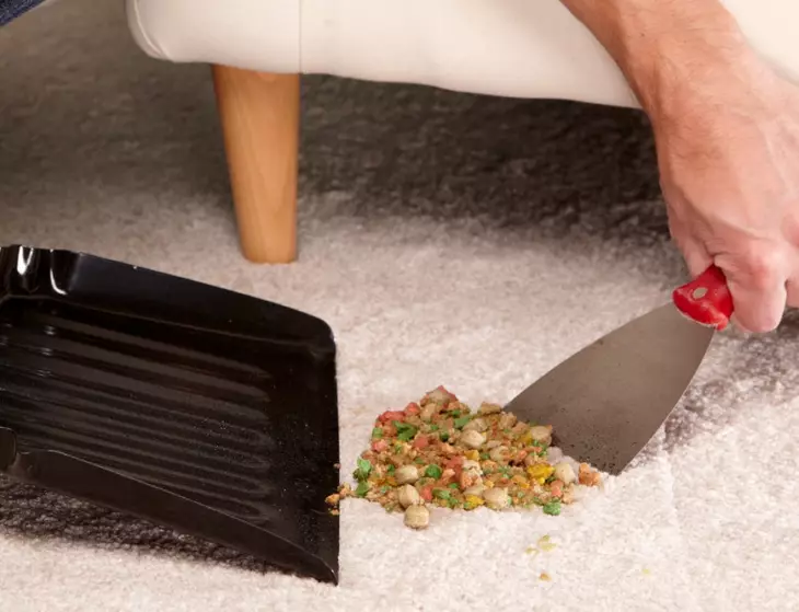 5 najboljih savjeta za čišćenje tepiha za vlasnike kućnih ljubimaca u 2022 9184_4