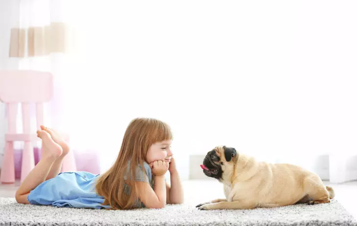 Топ 5 съвета за почистване на килими за собствениците на домашни любимци през 2022 г 9184_5