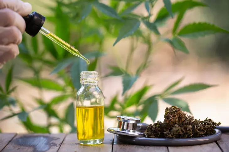 CBD Oil Կանադայում. Գնման ուղեցույց 2022 9195_8