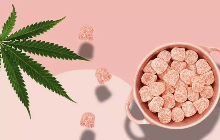 Warum CBD-Gummis bei Millennials immer beliebter werden 9555_3