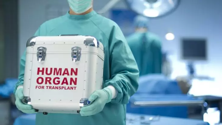 Semua yang Anda Perlu Tahu Mengenai Derma Organ 9609_3