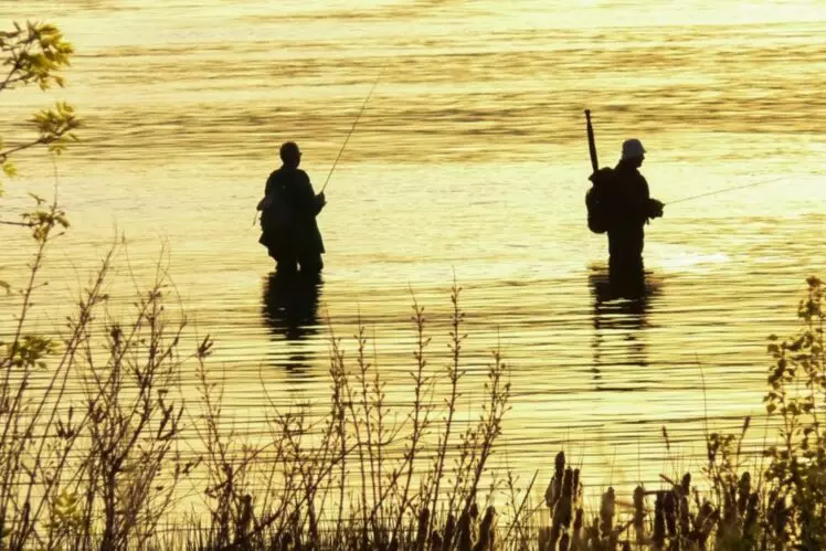5 כישורי דיג לשלוט לפני הטיול הבא שלך