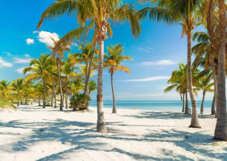 9 природных достопримечательностей и горячих точек, которые нужно посетить в Майами в 2022 году 9916_4